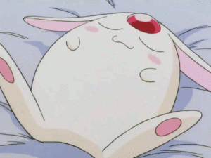 Top 10 Cutest Anime Mascots