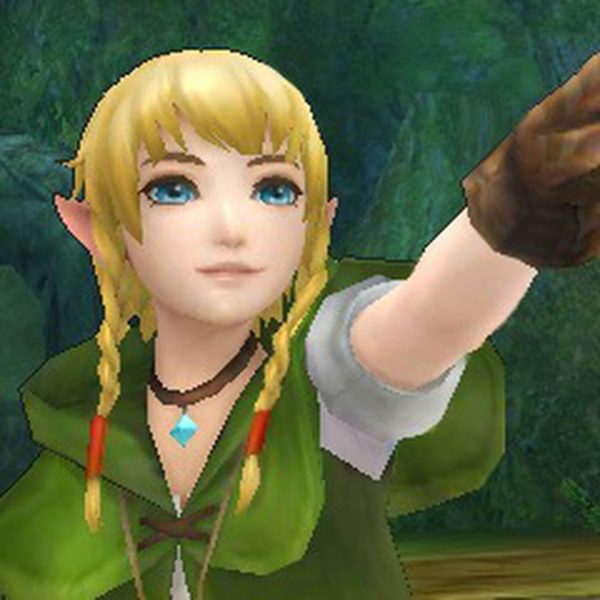 20 Fun and Interesting Facts About Link