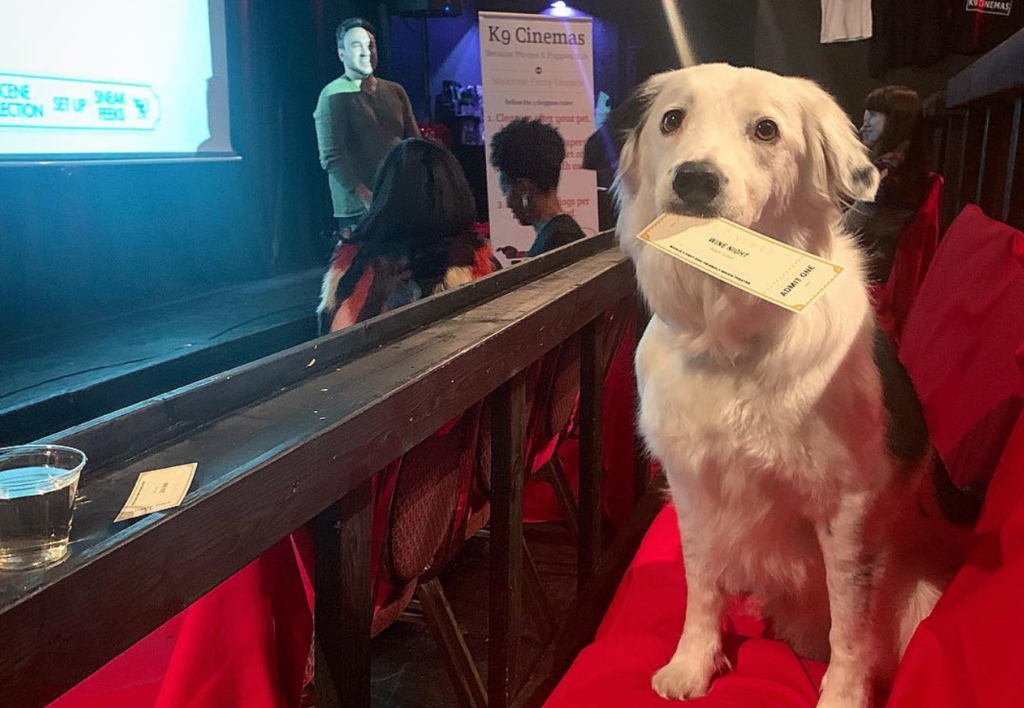 New Theater Allows Dogs and Drinking