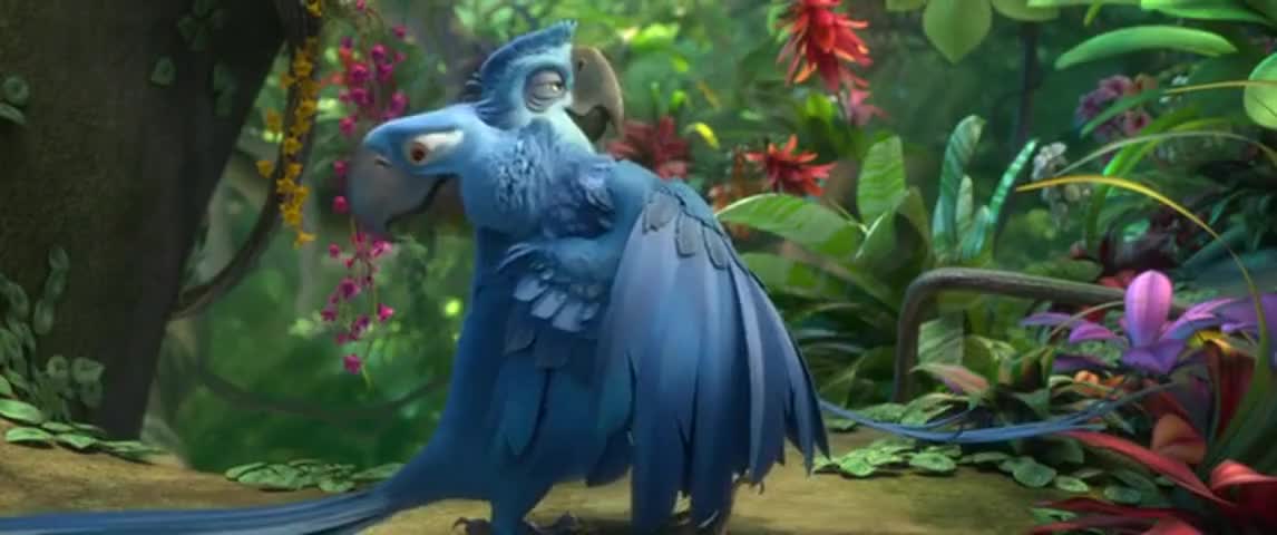 The Macaws from Rio are Extinct