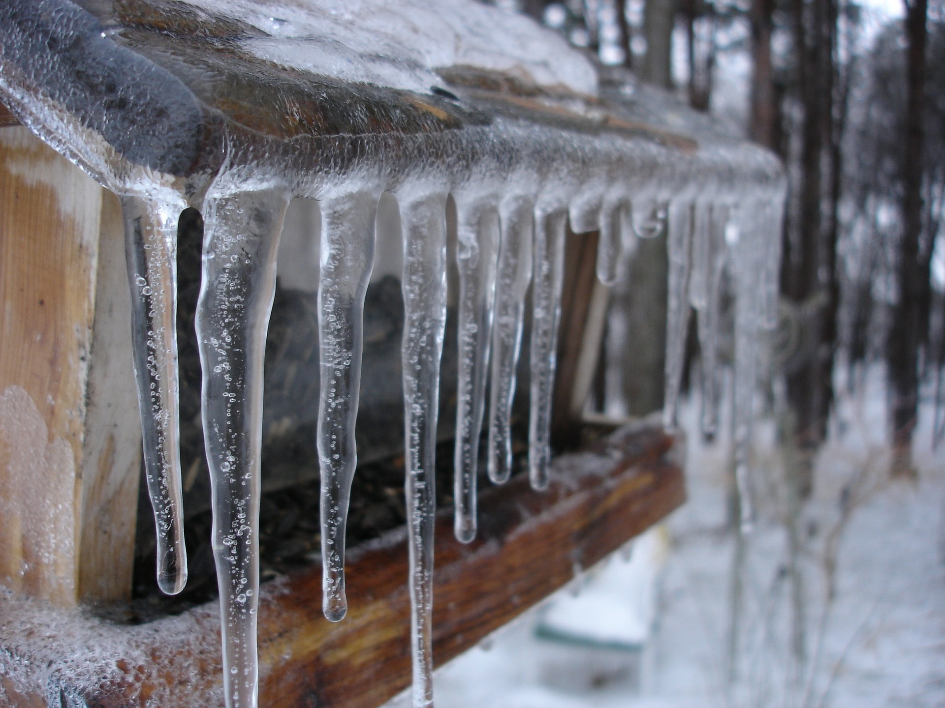 Meteorologist Reminds Us Why We Shouldn't Eat Icicles