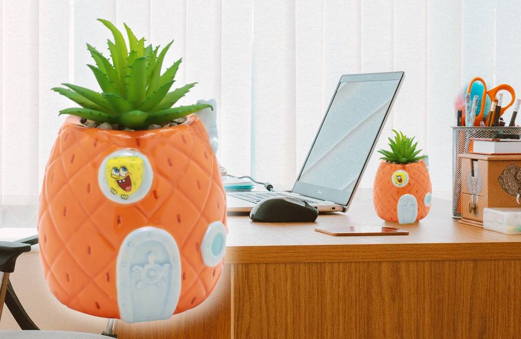SpongeBob Planter is Perfect for Piney Succulents!