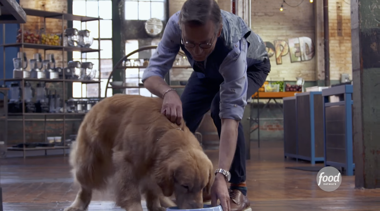 "Chopped" Gets Ruff: Latest Episode Adds Dog as Guest Judge