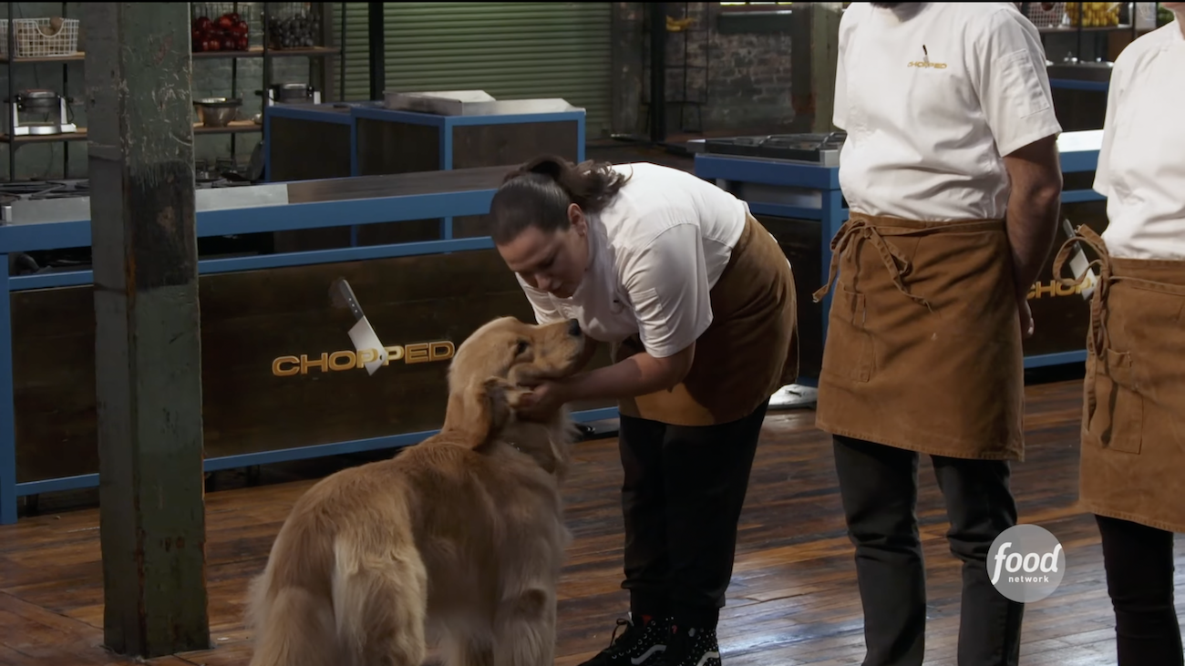 "Chopped" Gets Ruff: Latest Episode Adds Dog as Guest Judge