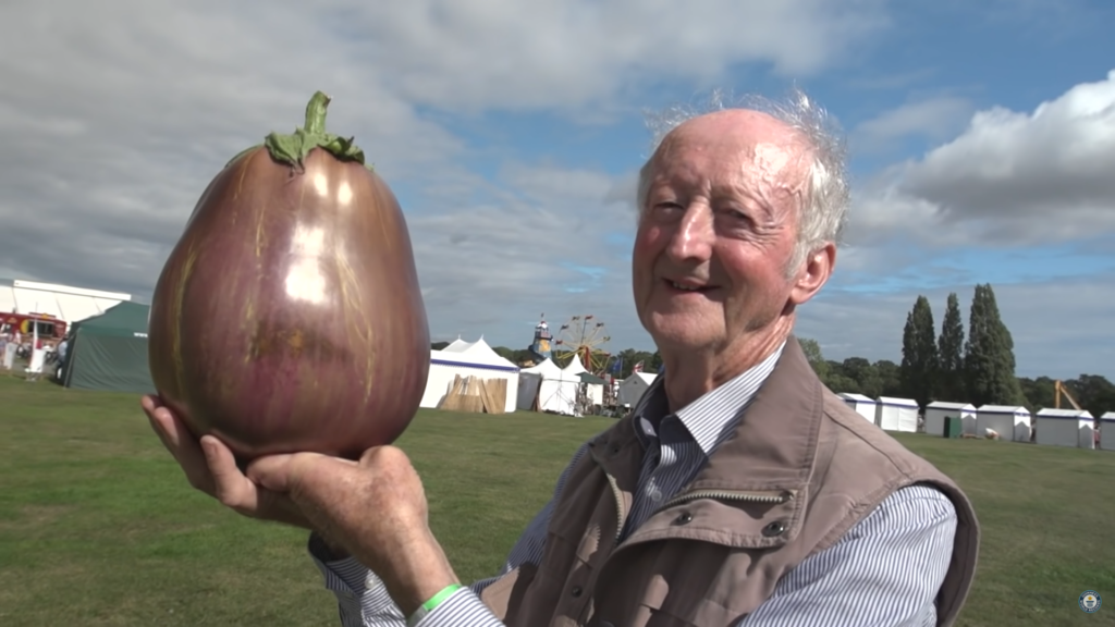 Man Awarded for World's Heaviest Eggplant at 6 lbs 14oz