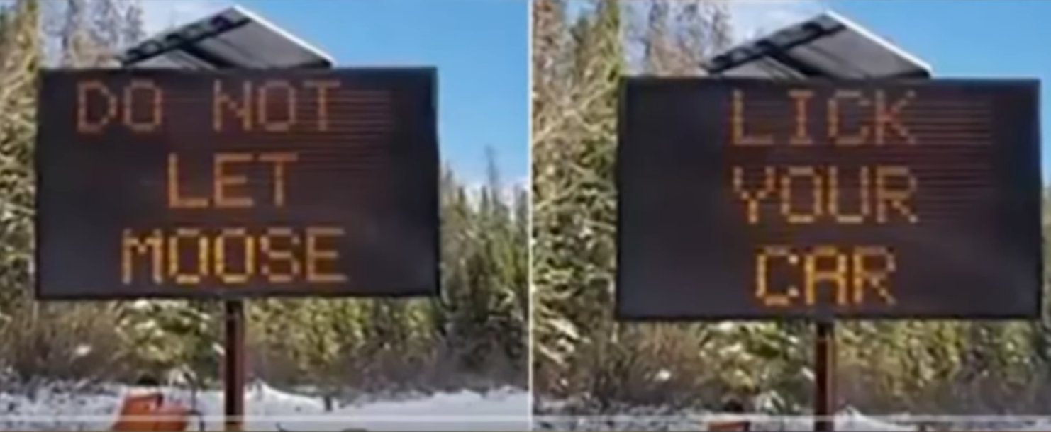 Did Canadian Sign Really Tell People Not to Let Moose Lick Cars?