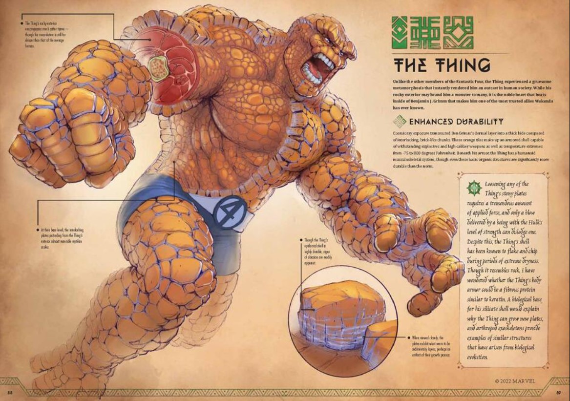 Check Out Marvel Anatomy A Scientific Study Of The Superhuman 