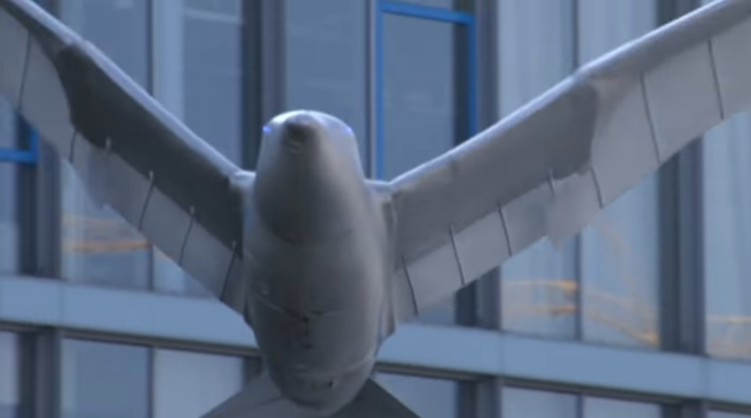 Have You Seen Festo, the Bionic SmartBird?