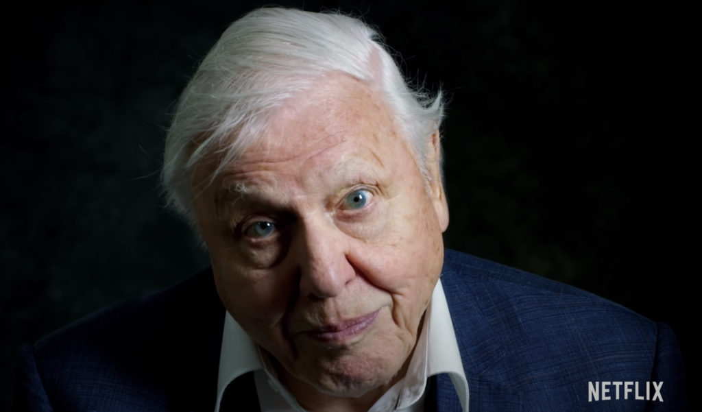 Sir David Attenborough Continues to be the Best