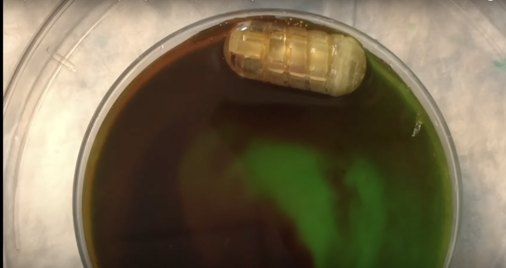 Robocap: Robotic Pill that Administers Drugs from Inside You