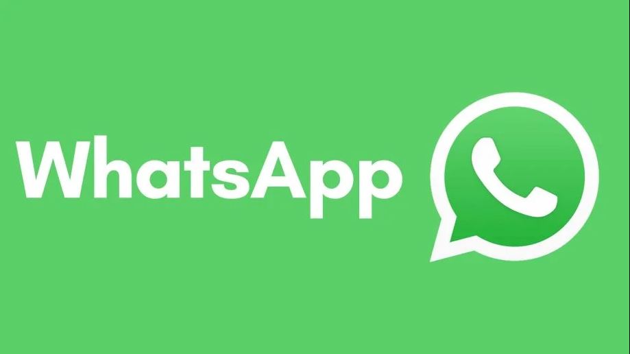 How the Official WhatsApp API is Revolutionizing Pop Culture and Fandom ...