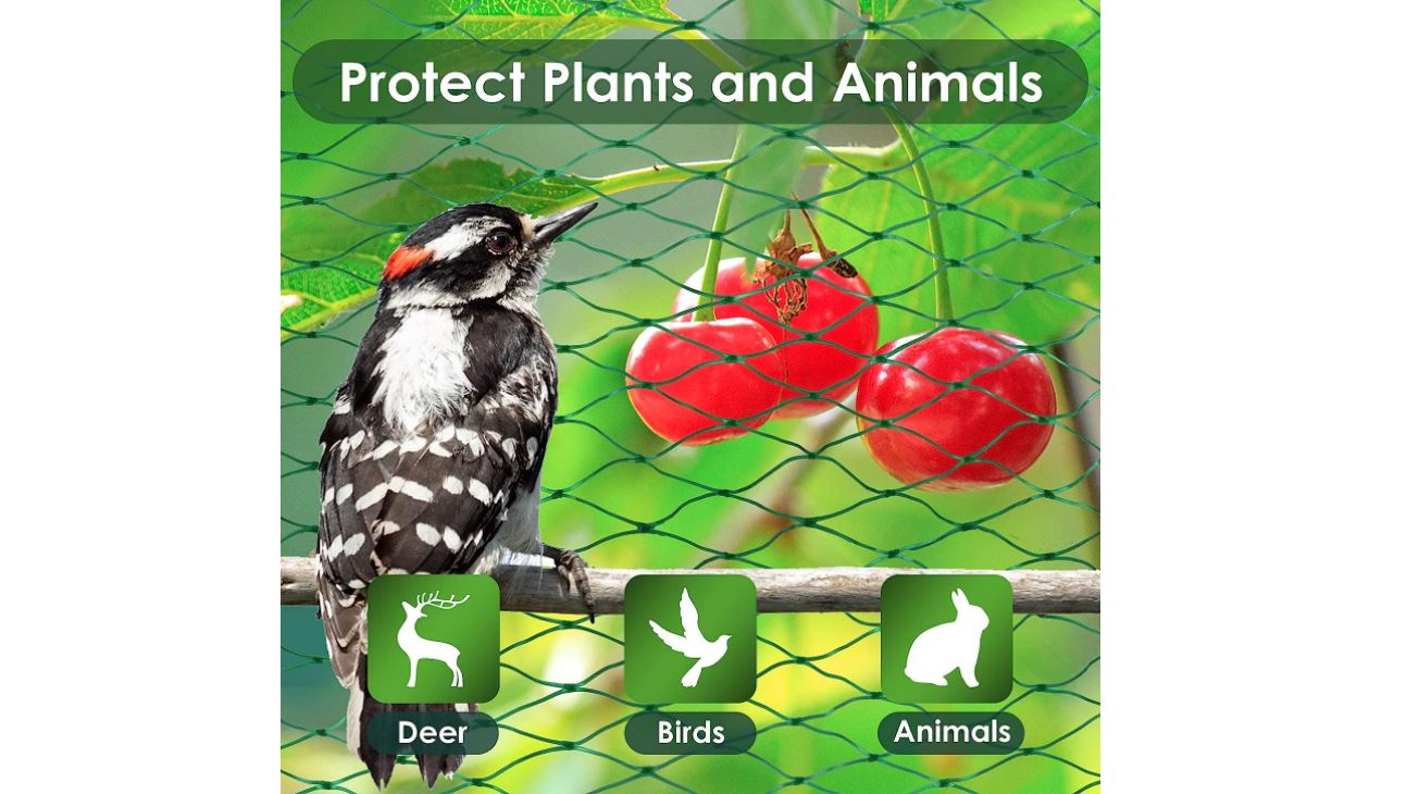 Secure Your Plants and Garden with reliable All About Bird nettings!