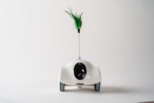 The GULIGULI Pet Companion Robot is a Total Blast