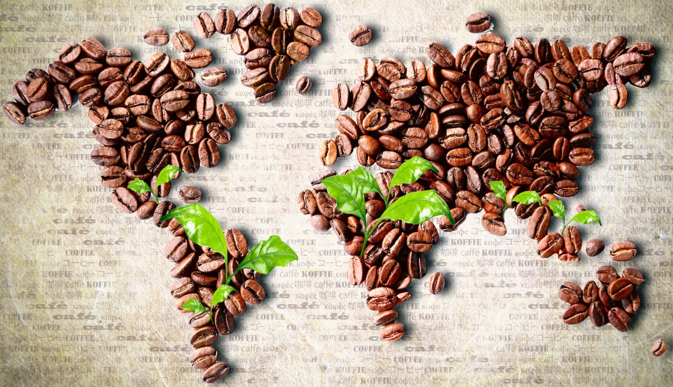 Coffee Culture Around The World: Unique Cafes To Visit