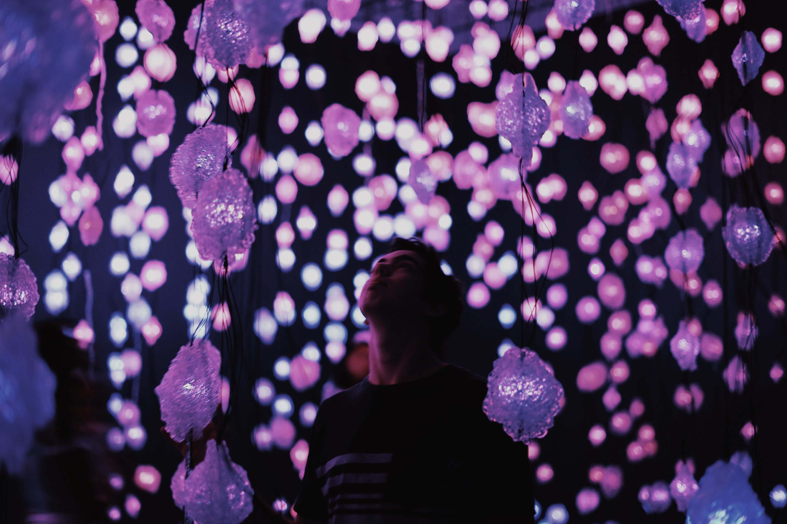 How to Create a Memorable Exhibition Experience with Exhibit Design