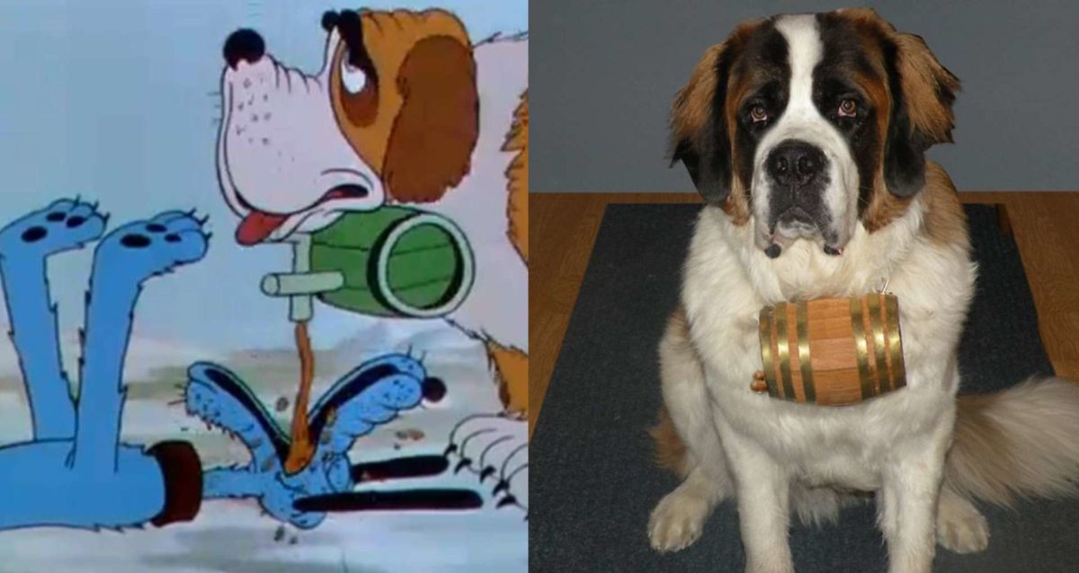 Get Your Pup a Barrel Dog Collar
