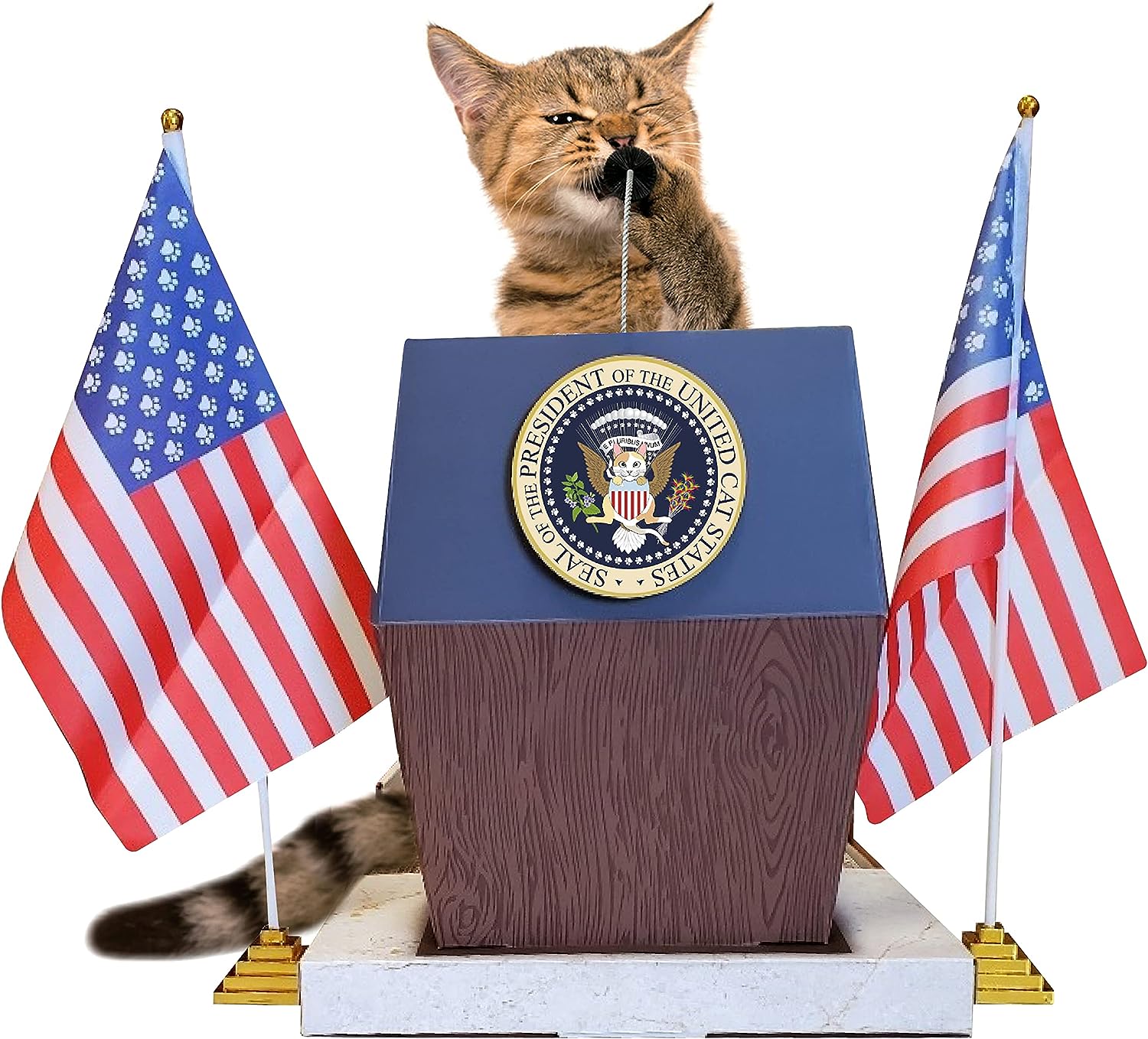 Presidential Cat Scratcher Makes Any Feline POTUS