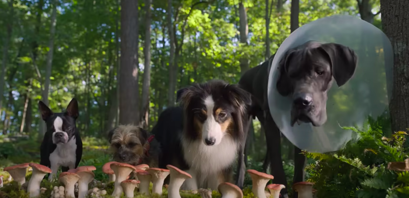 Foul-Mouthed Dogs Run Amok in "Strays" [Review]