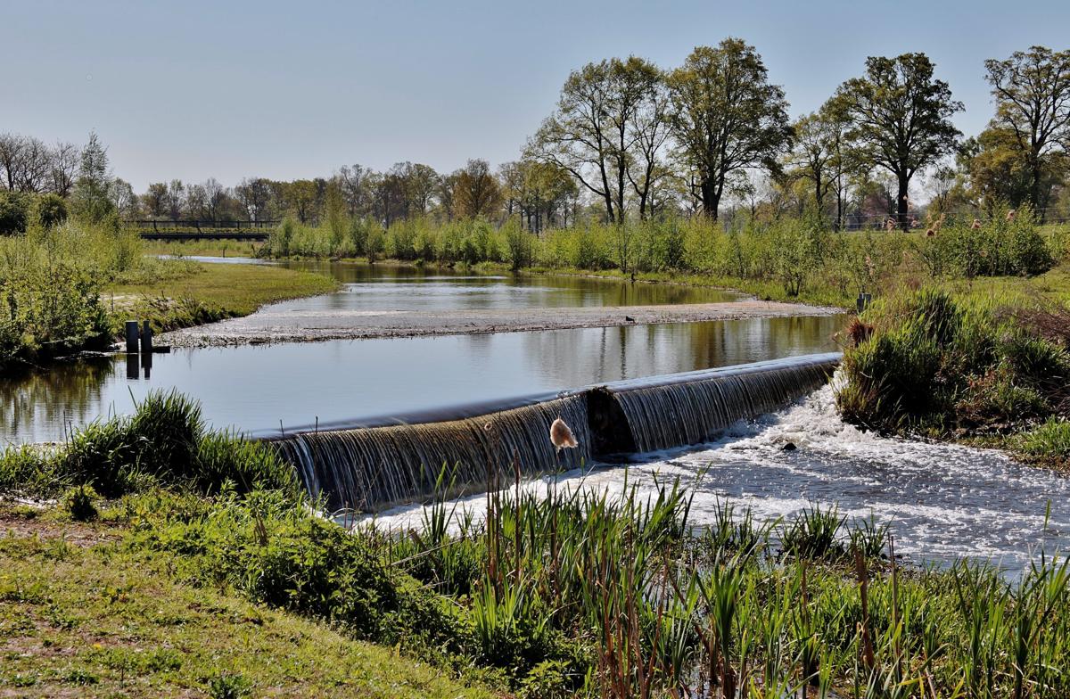 Preserving Ecosystem Health: The Role of River Water Treatment