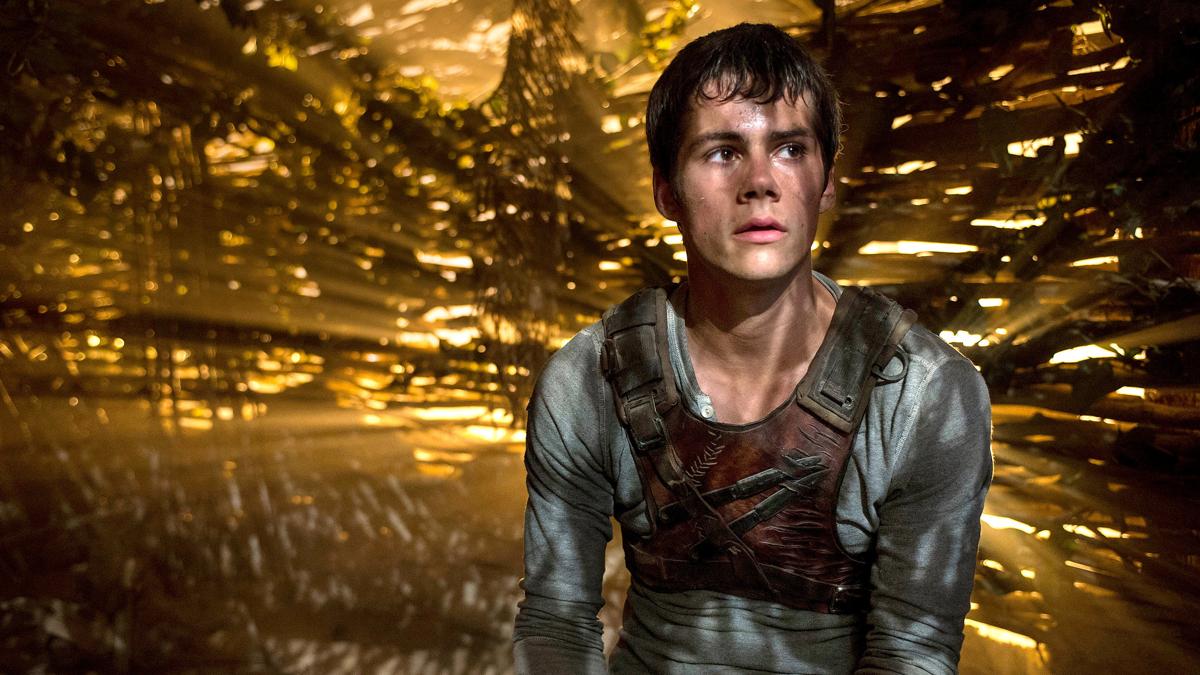 Reboot of "The Maze Runner" Happening for Some Reason