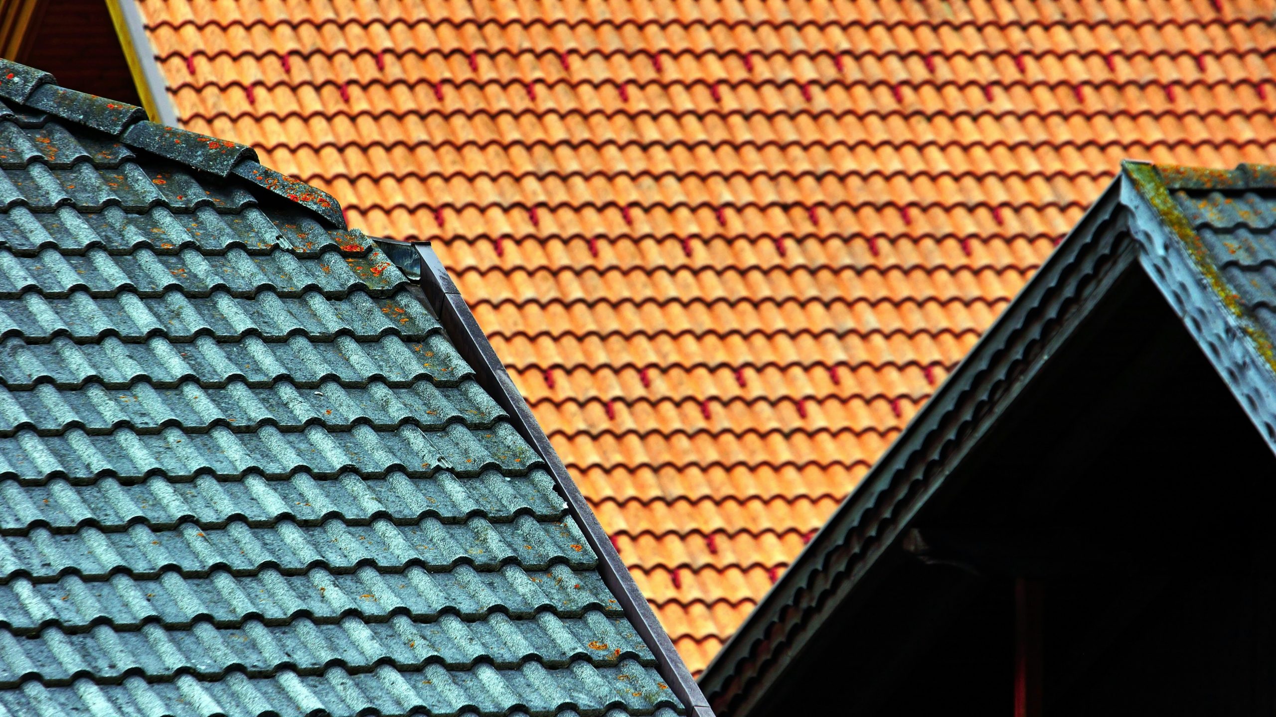 Building Protection from the Top: A Guide to Residential Roofing Excellence