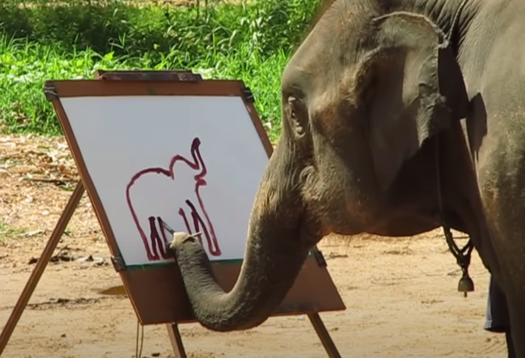 The Talent and Creativity of Animal Artists: Exploring Unique Expressions