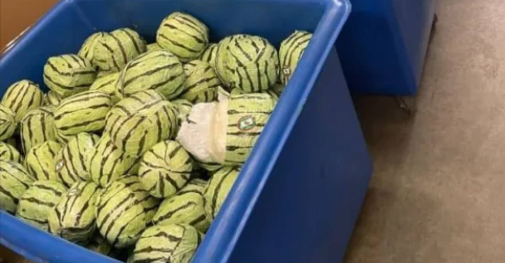 $6 Million Worth of Meth Found in Fake Watermelons, Celery