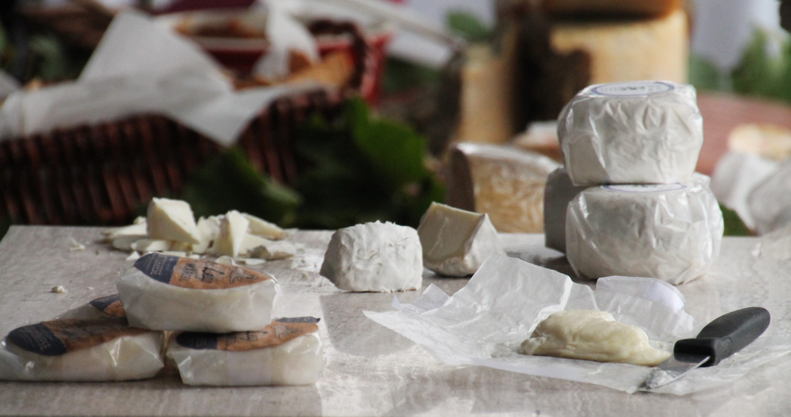 World’s Oldest Cheese Discovered on Mummy DNA Sequenced