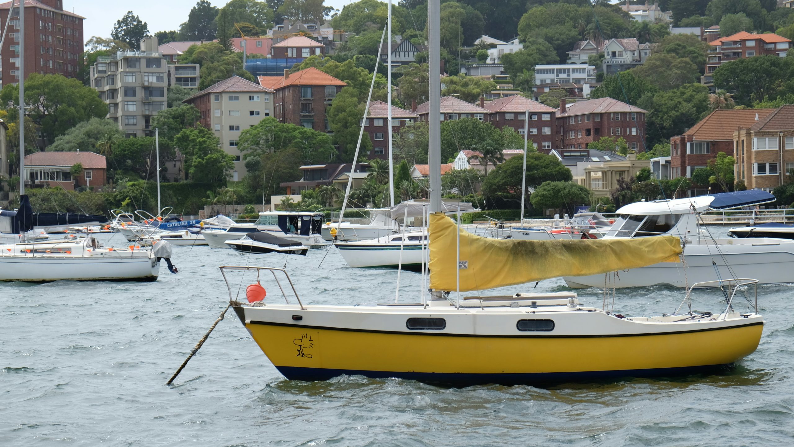 Double Bay- A Thriving Hub of Luxury and Professionalism