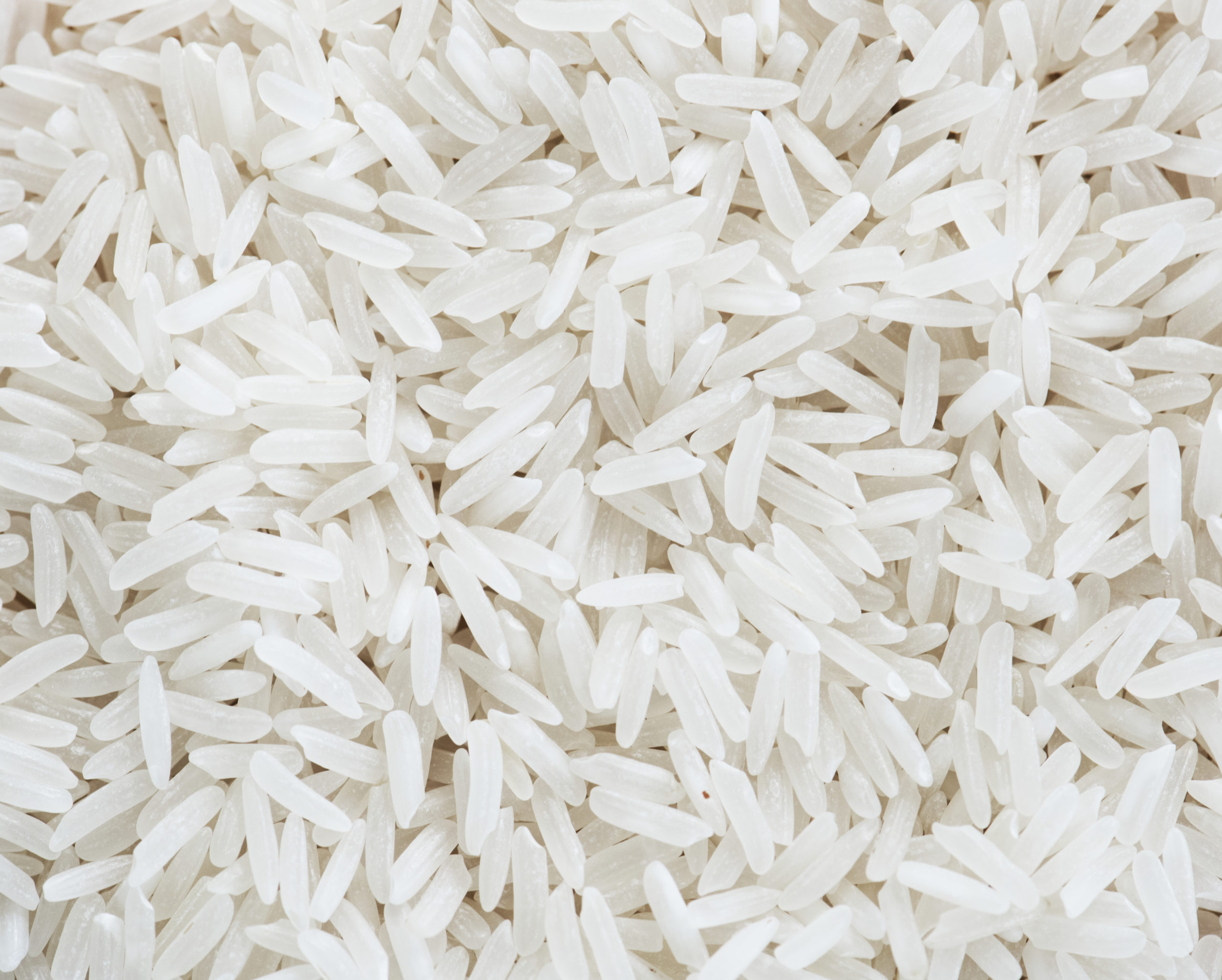 Wholesale Basmati Rice – Premium Quality Grains at Bulk Prices