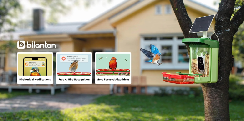 AI Bird Feeders: The Perfect Tool for Effortless Bird Identification