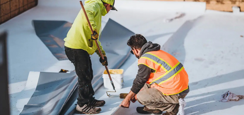 Sentinel Solar Powered Roof Pumps For Calgary Homes
