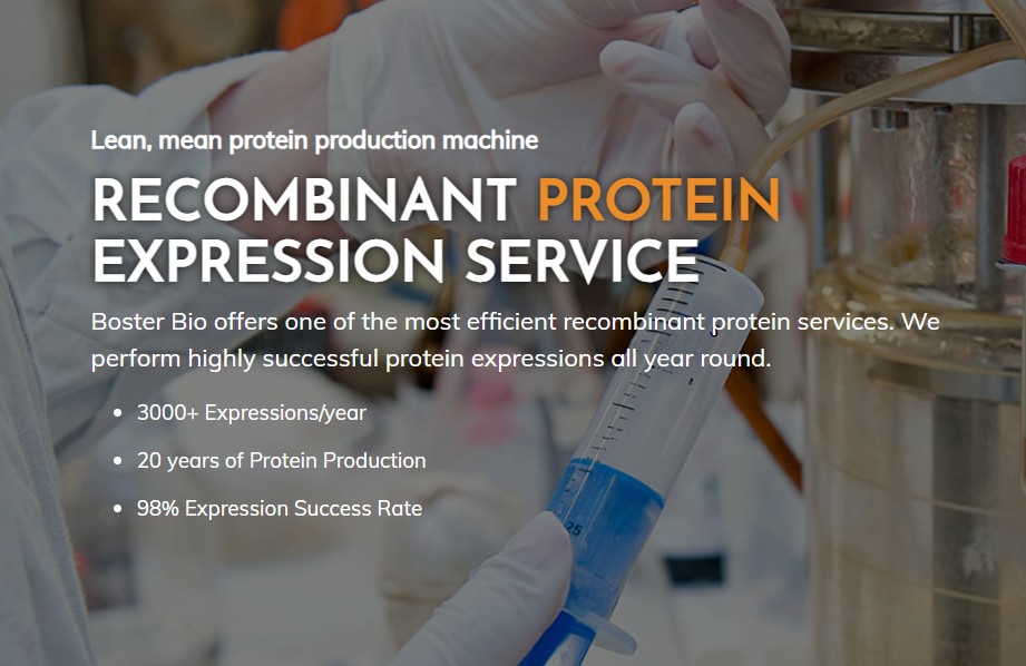 Why Recombinant Protein Expression Services Might Be Exactly What’s ...