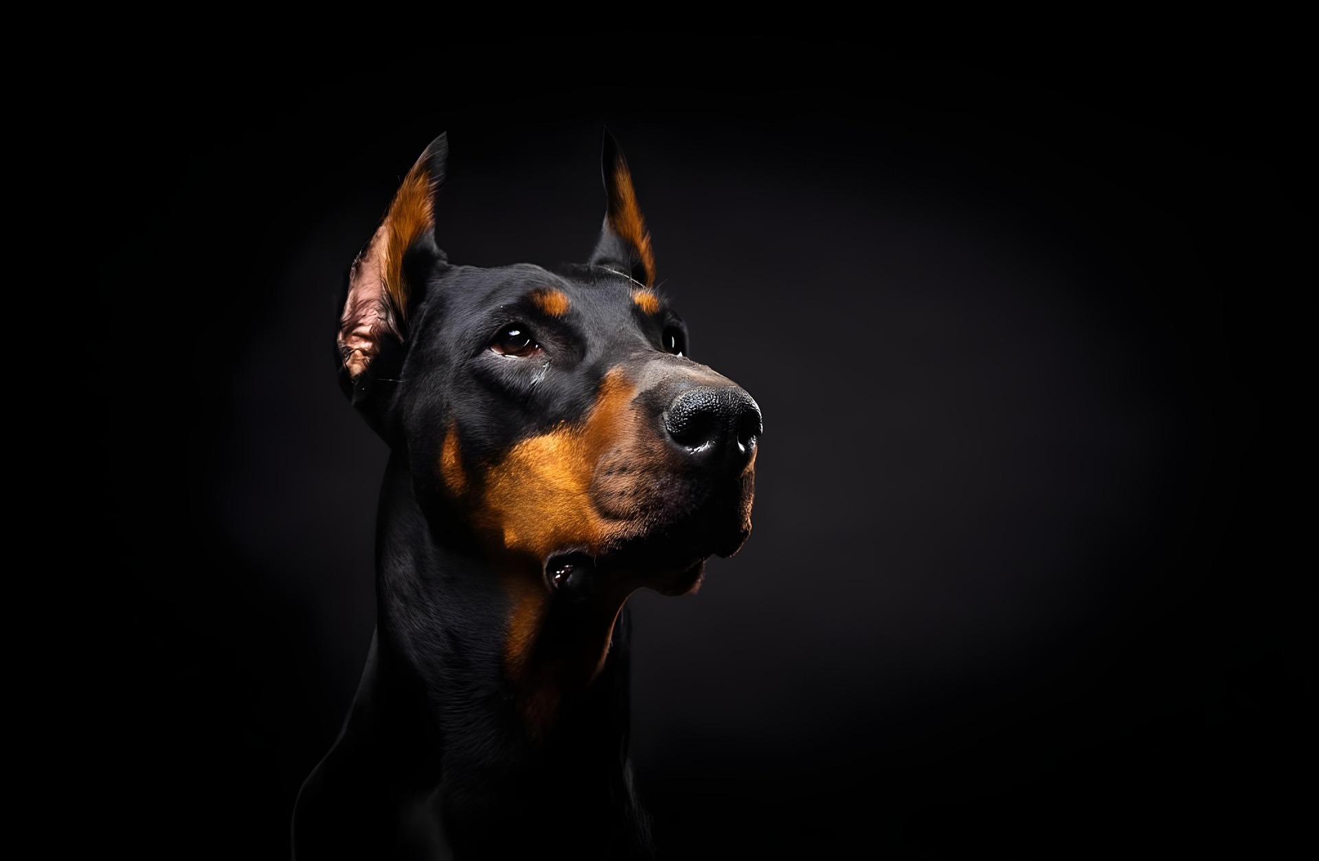 Urban Legend: Fact or Fiction- "The Choking Doberman"
