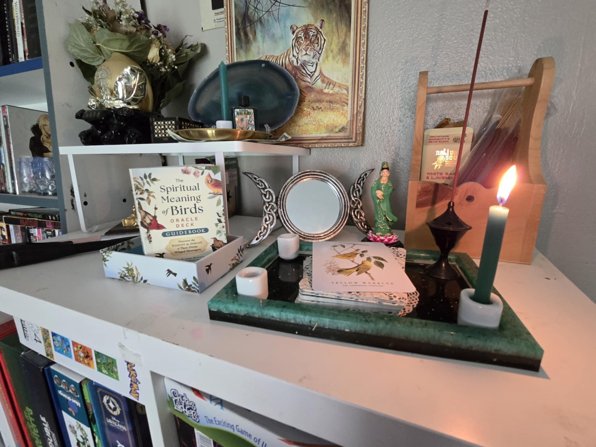 The Spiritual Meaning of Birds Oracle Deck: Honest Review(2025)
