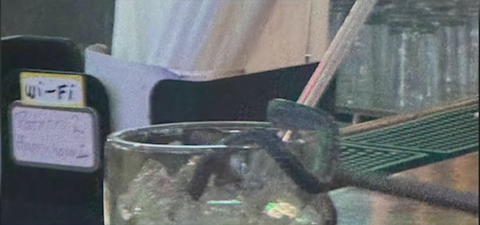 Virginia Woman Rattled After Snake Falls Into Her Margarita