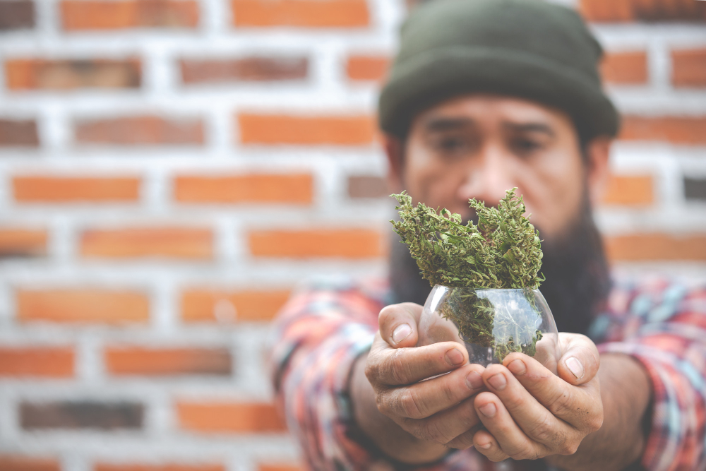 Marijuana Addiction: A Myth or a Real Issue?