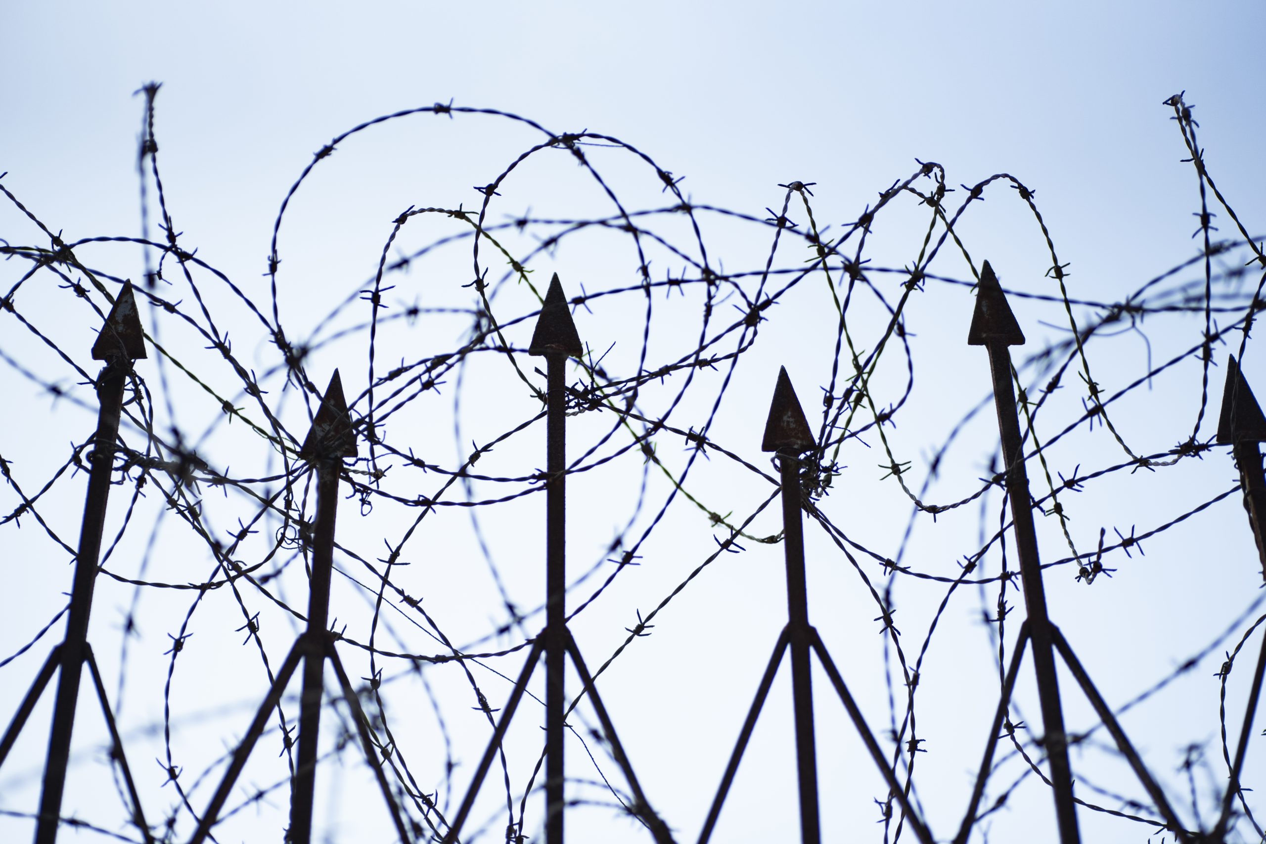 The Unseen Technology Behind Boundaries: Why Barbed Wire Is Still One ...