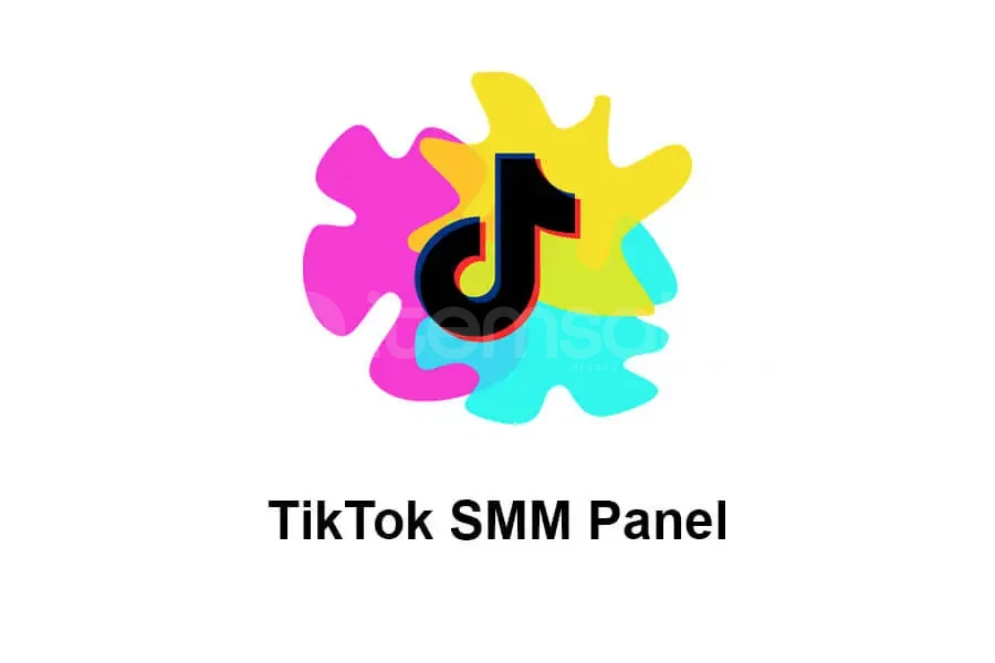 Top TikTok SMM Panels 2025-26 (Expert Advice)