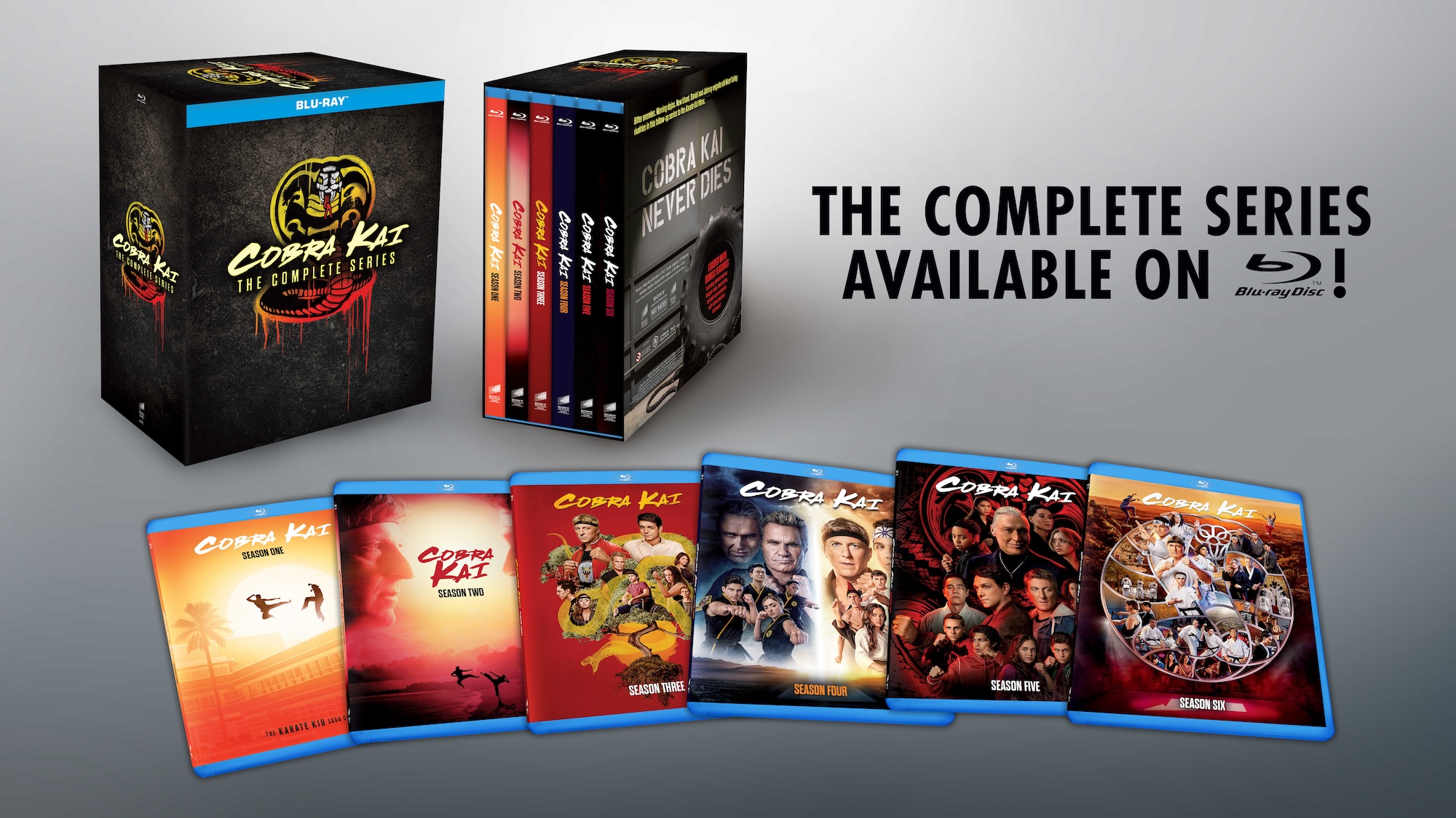 "Cobra Kai" Gets Full Series Physical Media Release