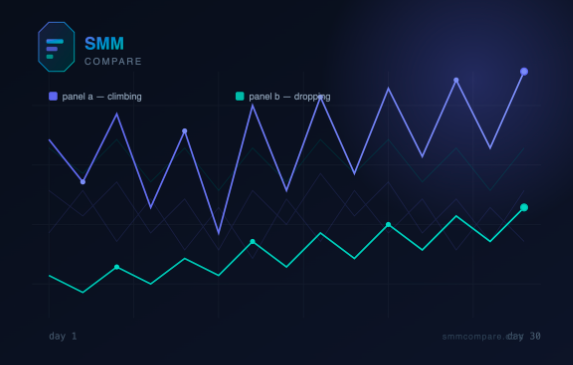 The Data Behind 30+ Days of Aggressive Pricing on 2,000+ SMM Panels – I ...